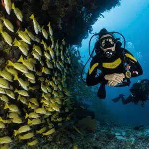 Destinations Plongée Sous Marine Tout Inclus Club Med