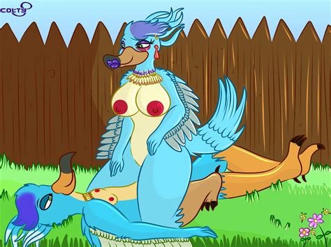 Rule 34 Absurd Res Alfie Magpie Anthro Avian Backyard Big Breasts