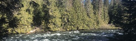 Murtle Lake 14 Reviews Map British Columbia Canada Alltrails