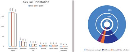 Staff Data Aalysis 2024 25 About Us Teesside University