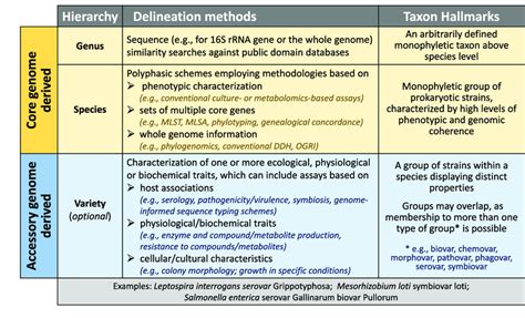The Core And Accessory Genomes Of Prokaryotes Inform The Demarcation Of