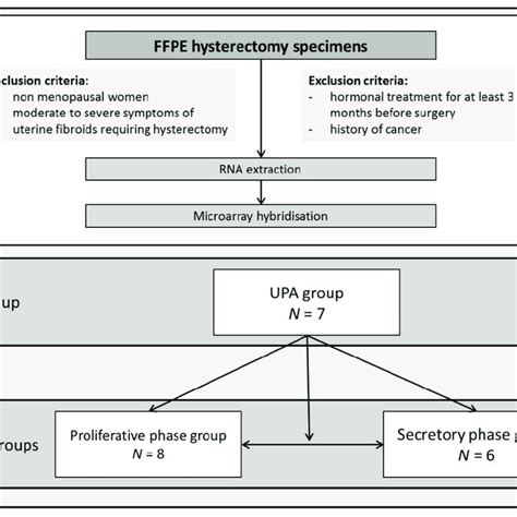 Flow Chart Rna Was Extracted From Ffpe Hysterectomy Specimens From 21 Download Scientific