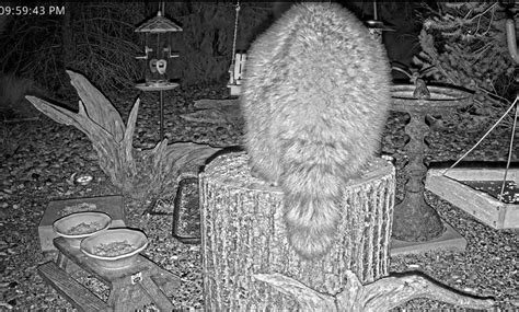 Disqus Profile Aimeeevoli