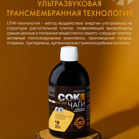 Сок чаги клеточный с облепихой и прополисом Арт Лайф. Купить: цена 1845 ...