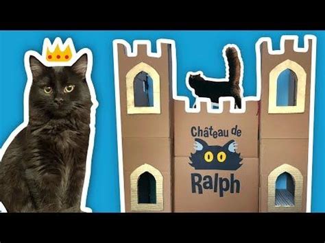 Half Asleep Chris Youtube Cat Castle Great Cat Funny Cat Faces