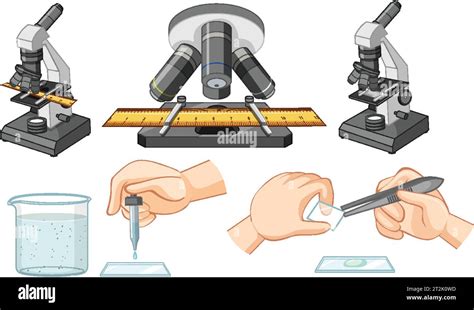 Vector Cartoon Illustration Of A Science Experiment With Microscope And