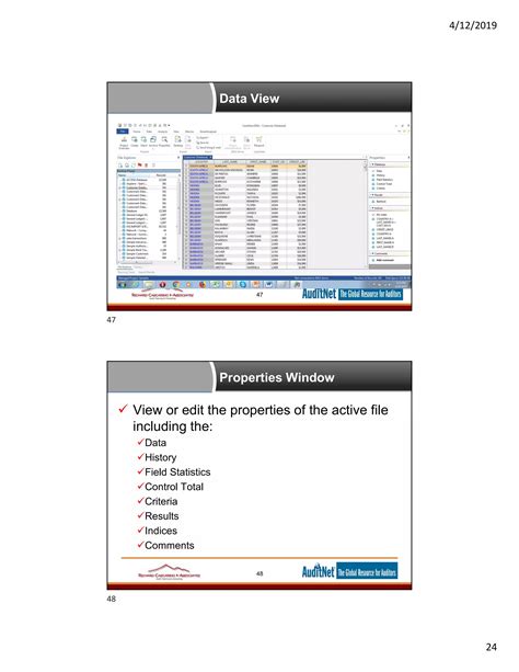 Data Analytics For Auditors Data Analytics Software Pdf Databases Computer Software And
