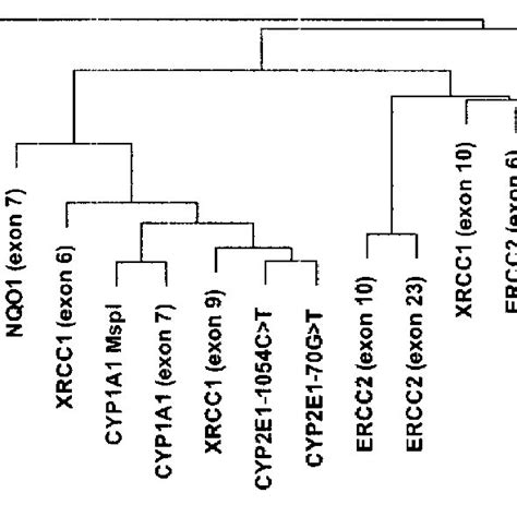 Dendrogram For The Control Group Using A Combination Of Three