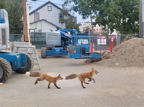 Matthew Simard Posted On Linkedin