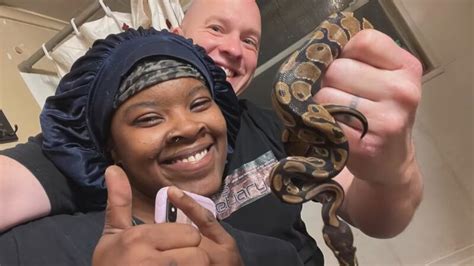 Woman Surprised By Ball Python Found In Her Toilet