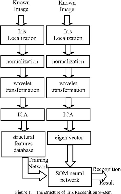 Figure 1 From A Iris Recognition Algorithm Based On Ica And Som Neural