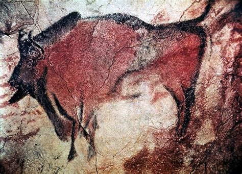 Bison Altamira Cave
