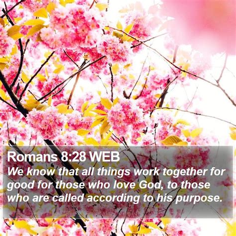 Romans 828 Web Scriptures Images