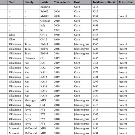 Field Symptoms Of Mdmv Infected Maize Samples A E Collected During