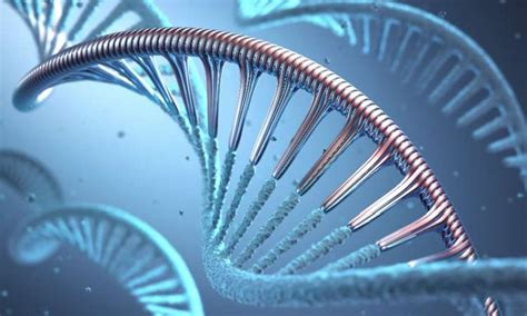 Using Enfinia™ Cell Free Synthesised Dna For Rapid Protein Expression