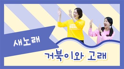 새노래 거북이와 고래 Youtube