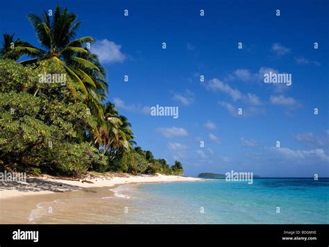 Marshall Islands Micronesia Beach And Palm Trees On Calalin Island A