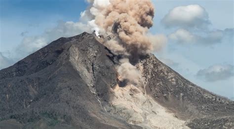 Exploring The Threat Of Monogenetic Volcanoes
