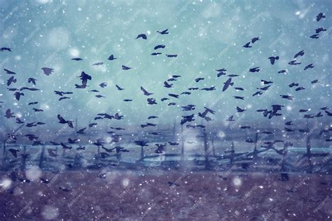 Pájaros Negros Bandada En Vuelo Clima Invernal De Nieve Concepto De
