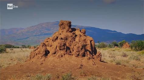 3° Workshop Asceti E Termitai Śrī Yoga Academy