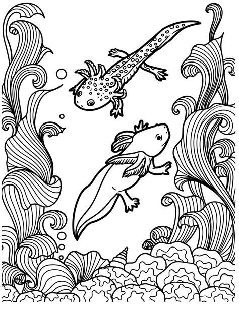 Axolotl Coloring Pages Free Printable [2025]