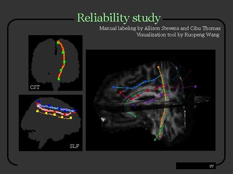 Introduction To Diffusion Mri Processing The Diffusion Process