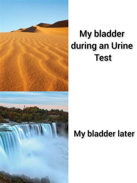 Please I Need This Rmemes Know Your Meme