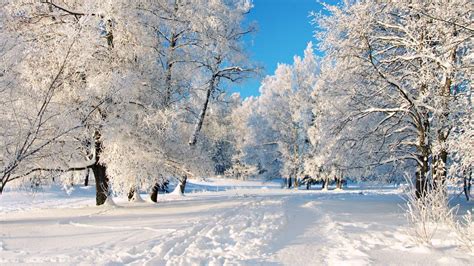 1920x1080 Hd Winter Desktop Wallpapers Top Free 1920x1080 Hd Winter Desktop Backgrounds