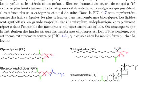 7 Structure Représentative De Quatre Catégories De Lipides Les Plus