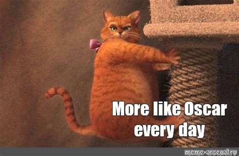 Create Meme The Cat From Shrek Fat Before The Mirror The Cat From