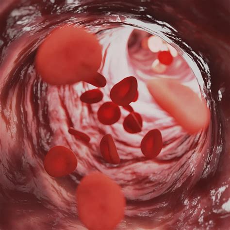 静脉血细胞 2 花瓣网