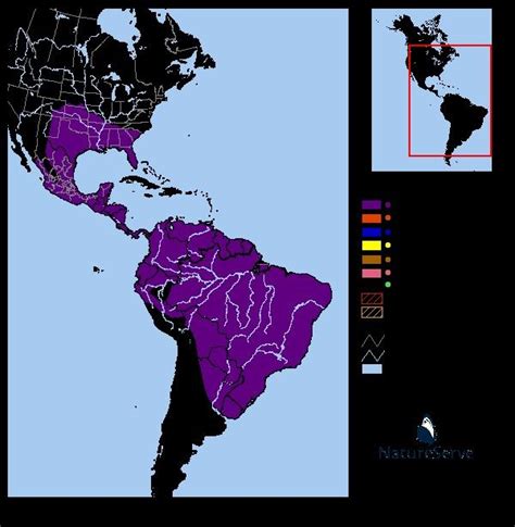 Nine Banded Armadillo Map 2
