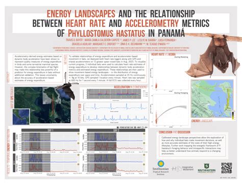 Pdf Energy Landscapes And The Relationship Between Heart Rate And Accelerometry Metrics Of