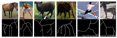 基于深度学习的骨架提取（极·简述）深度学习 三维模型骨架提取 Csdn博客