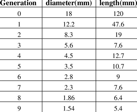 First 10 Generations Of Lung Airways By Weibel Model Download Scientific Diagram