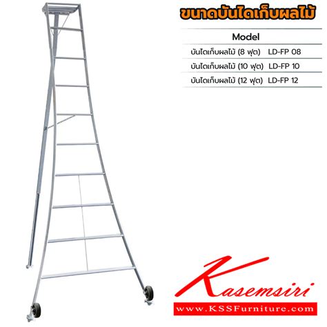 61081ld Fpบันไดเก็บผลไม้บันไดเหล็ก เก็บผลไม้ Ld Fp08บันไดเก็บ