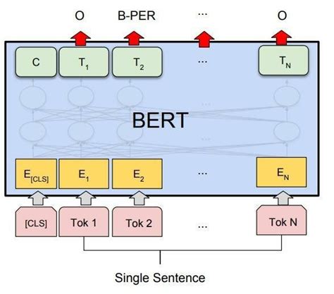 Bert Model Architecture Download Scientific Diagram
