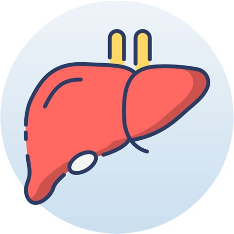 Liver Generic Circular Icon