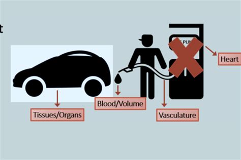 Sepsis Shock Flashcards Quizlet