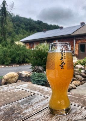 Shy Bear Brewing Updated August 2025 150 Photos And 88 Reviews 35