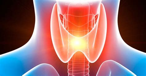 Thyroid थायरॉईड किती प्रकारचे असतात शरीरावर कसा परिणाम होतो Thyroid