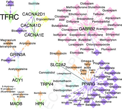 Target Target Drug Interactome For Members Of The Enzyme Download Scientific Diagram