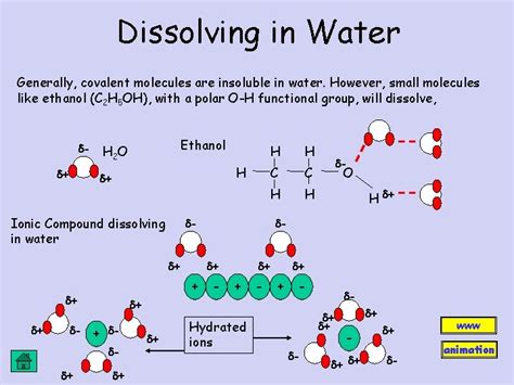 is water polar or nonpolar issacropellis