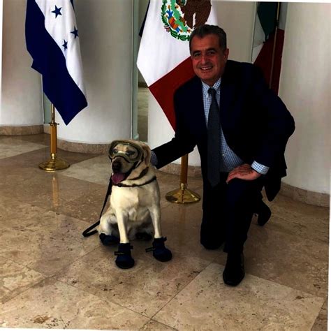 Jorge Lecona Managing Director Latin America And Caribbean