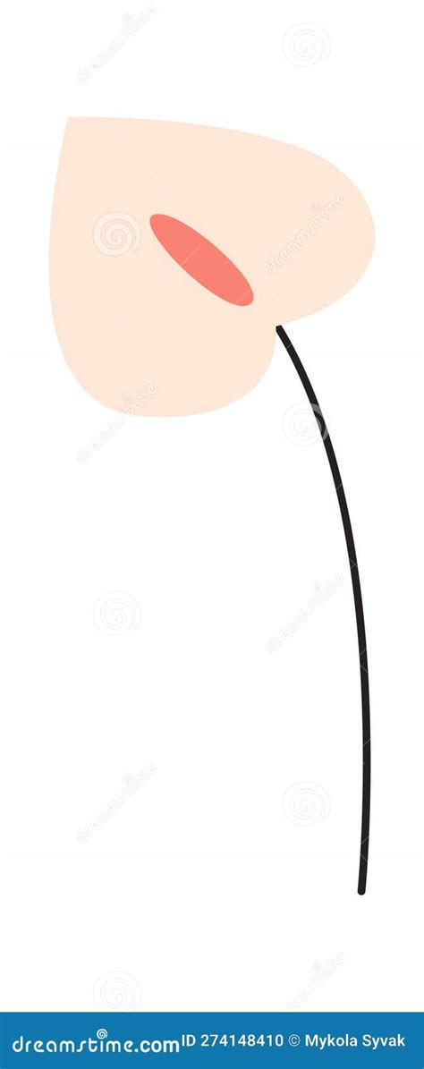 Calla Flower On Stem Stock Vector Illustration Of Green 274148410