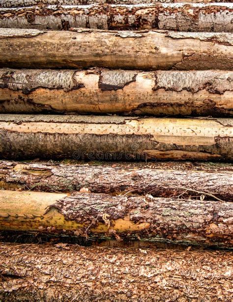 Wood Log Timber Logging Environmental Issues Logging Of Timber