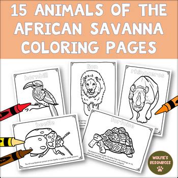 African Grassland Coloring Pages