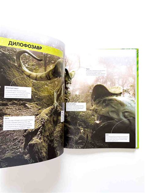Все о динозаврах - Vilki Books