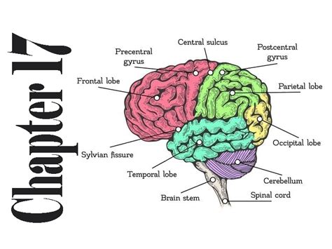 Biology Chapter 17 Class 12 Short Questions Ahsa Pk