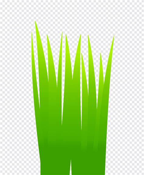 Grasses Leaf Flowerpot Plant Stem Leaf Leaf Plant Stem Png Pngegg
